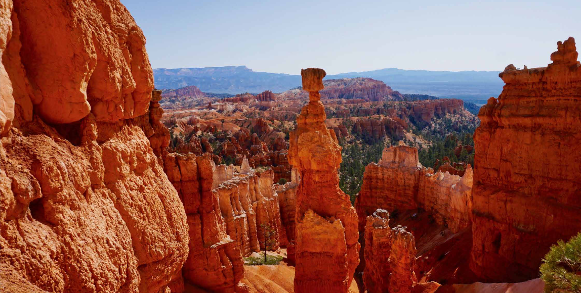 Trips – Trippin With Michelle