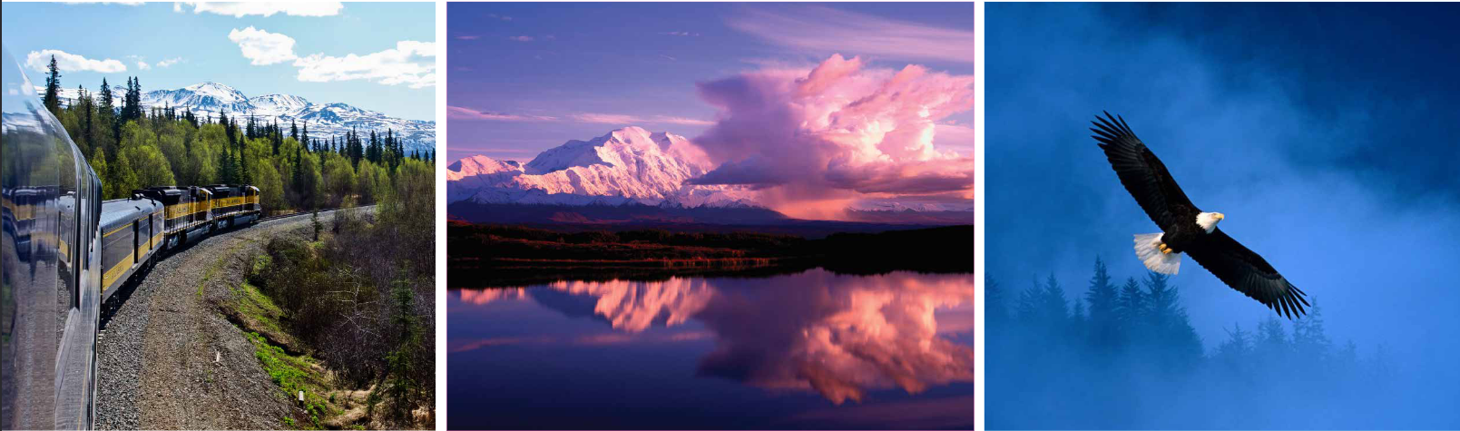 Trips – Trippin With Michelle